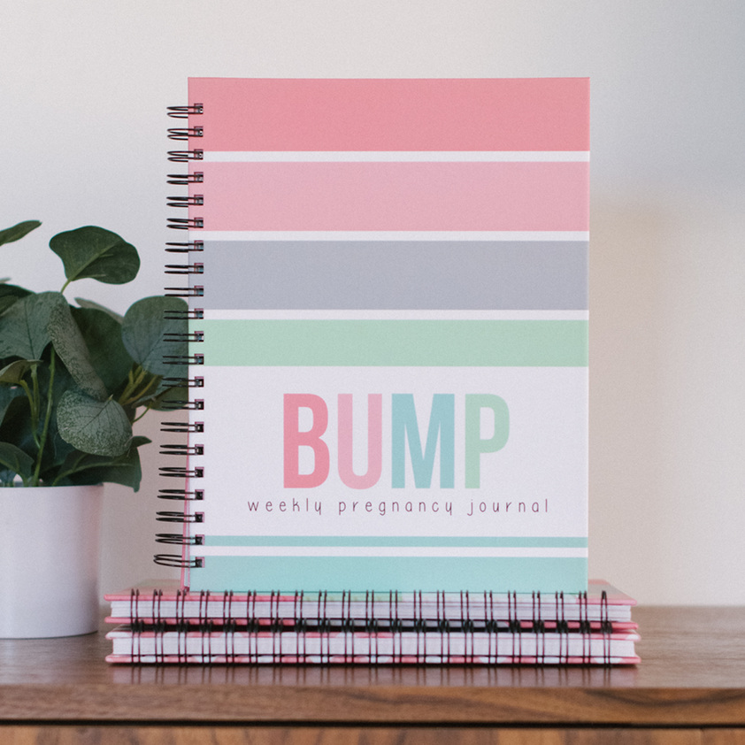 Bump Book | Taffy – Polka Dot Print Shop